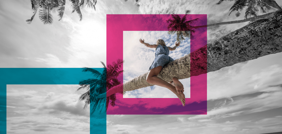 Project Paradise: Next-gen Collaboration in the Built Environment